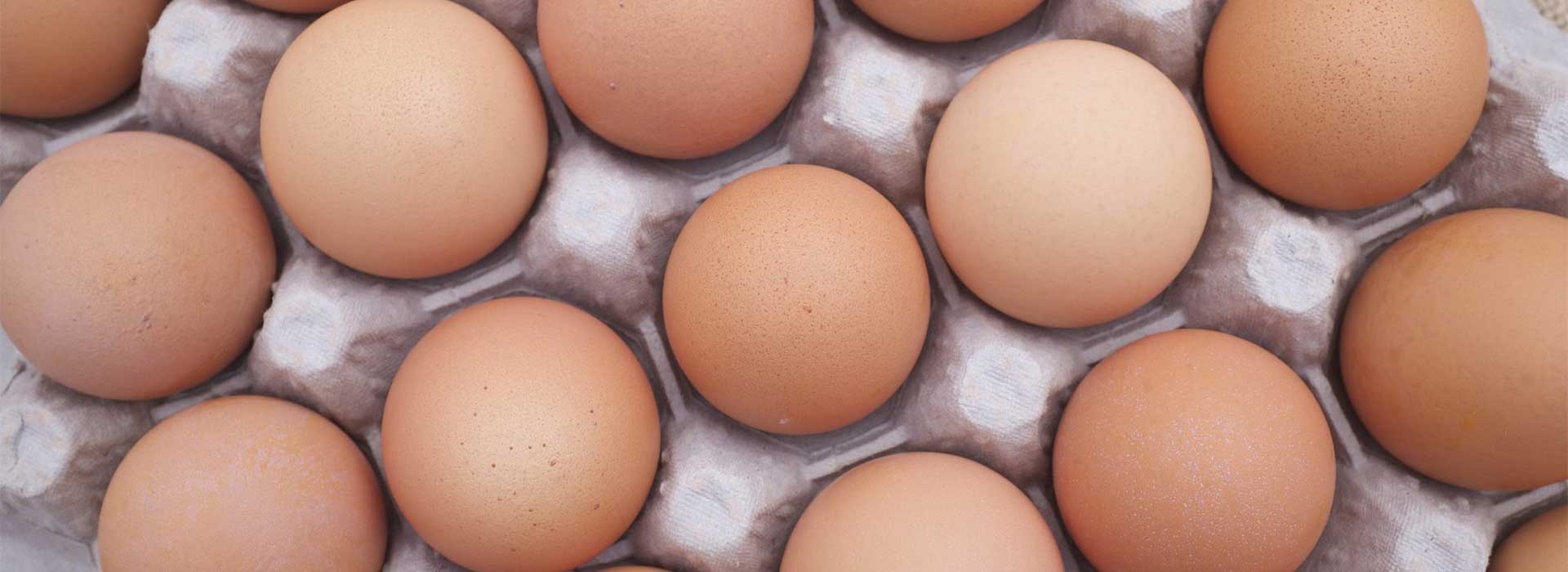 Eggs | Cornhill Farm