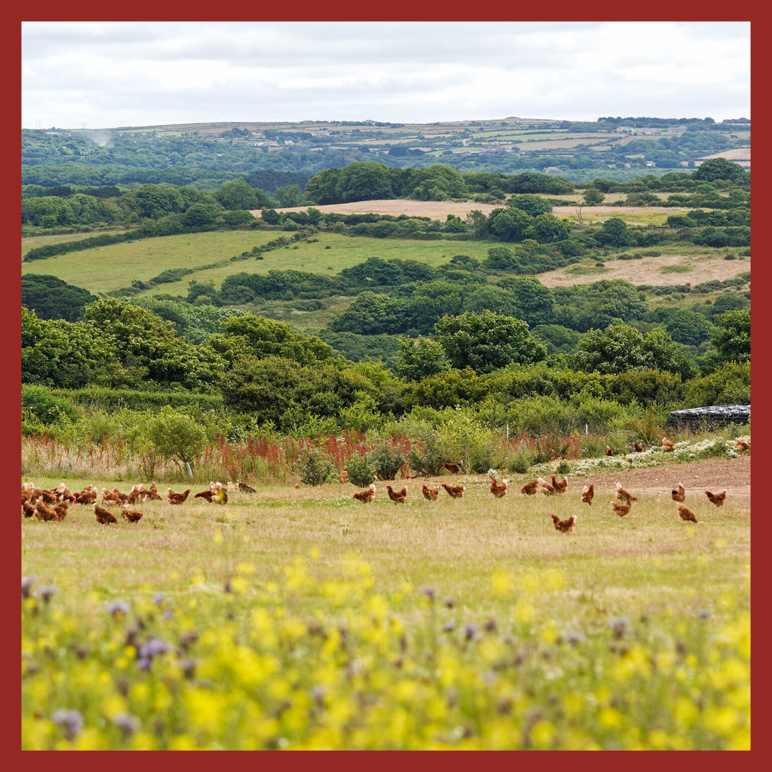 About Us | Cornhill Farm